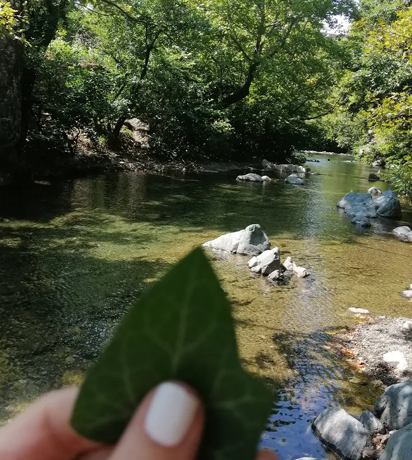 Mor Işık - Girişimci Kadınlar Grubu